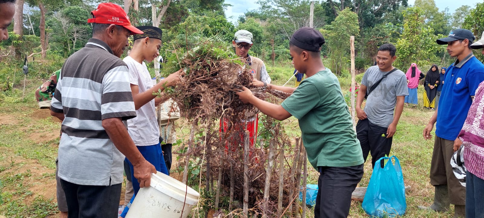 Pemanfaatan Lahan Perkarangan Dalam Pemenuhan Kebutuhan Pangan Pondok ...